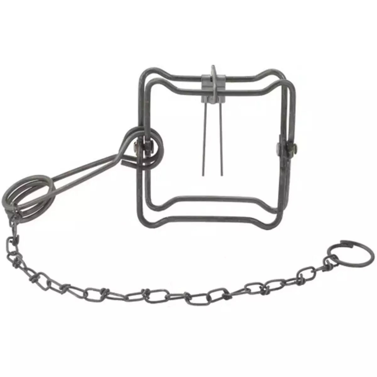 Duke 110 Magnum Body Trap - EACH – TS Trapline