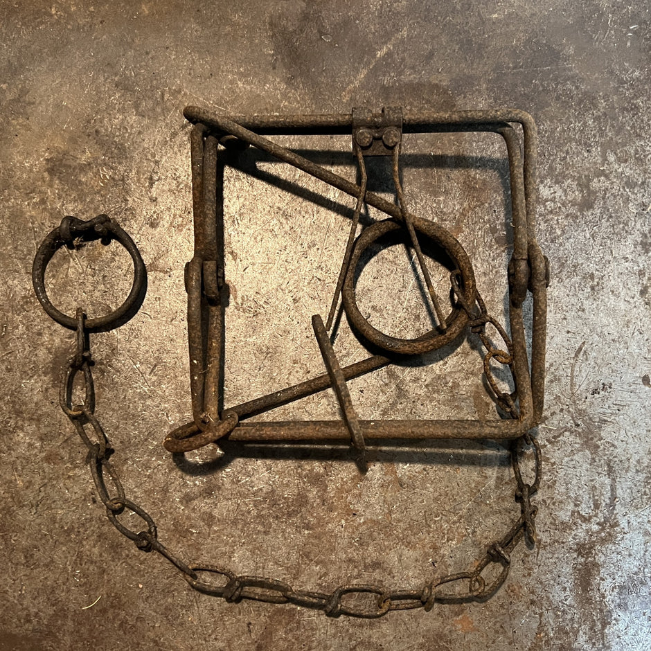 Used Traps – TS Trapline