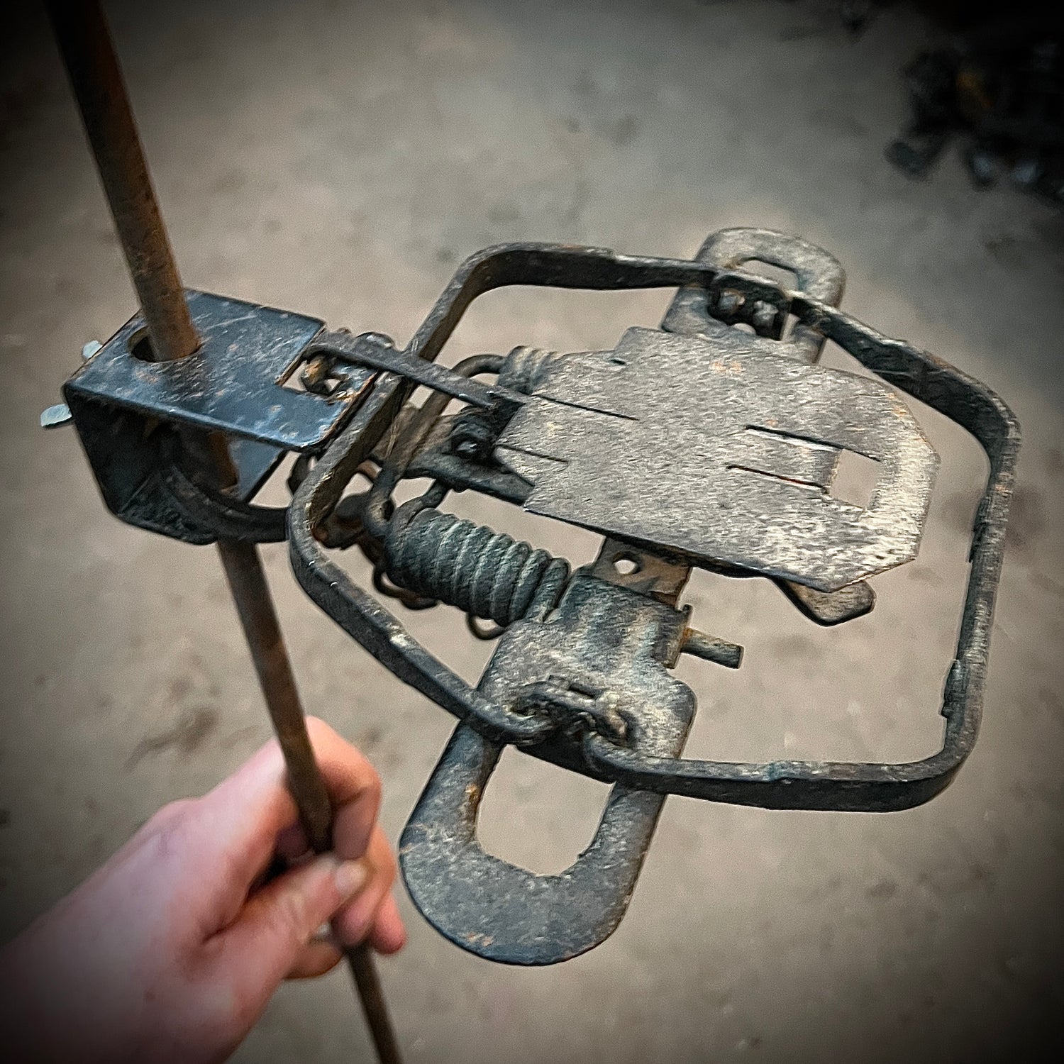 Collections – TS Trapline